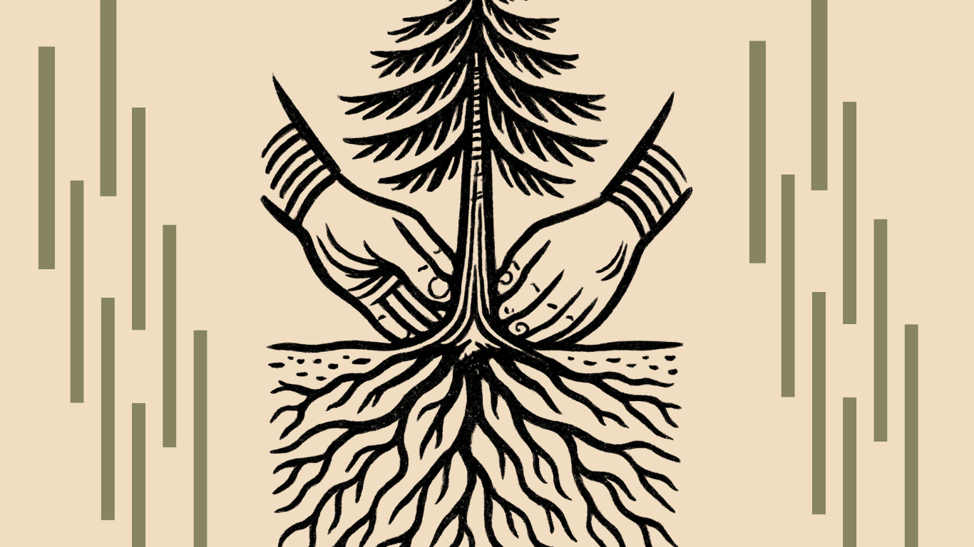 Tracking Justice - Progress