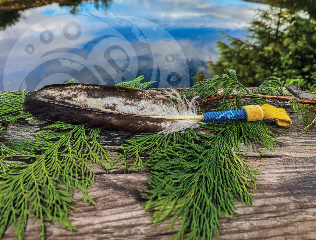 Witnessing Through Story youth report released - Progress